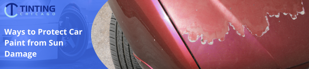 Does PPF Protect Against Sun Damage? Keep Paint from Fading
