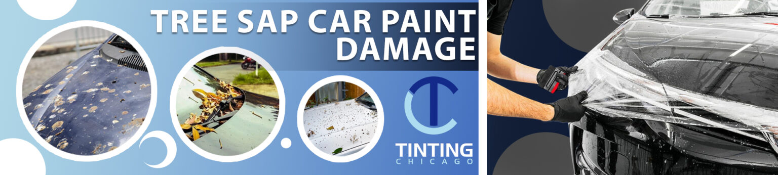 How to Remove Tree Sap From Car Without Damaging Paint